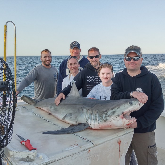 Exciting Shark Fishing Charters CT | Lucky Hook Charters